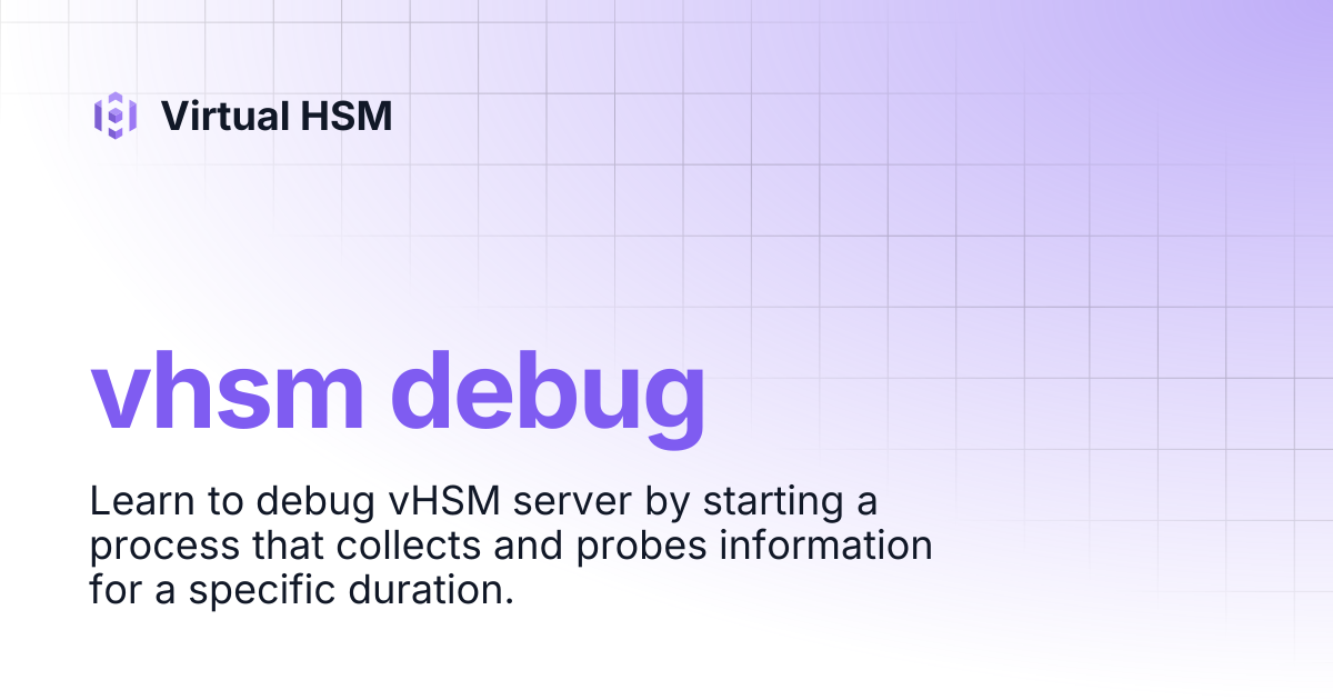 vhsm debug | Virtual HSM