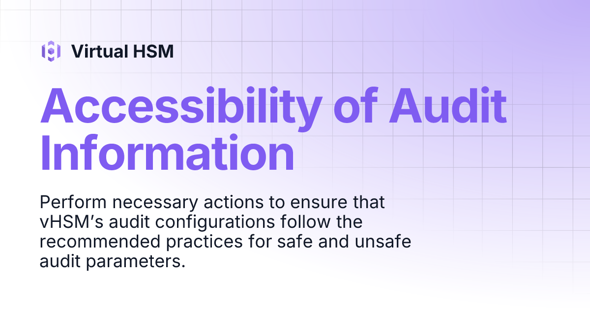 Accessibility of Audit Information | Virtual HSM